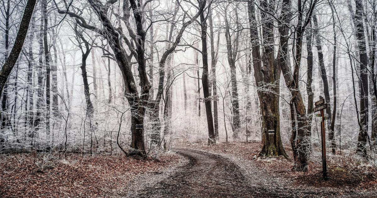 Respect, truth and community within natural law | CMHR